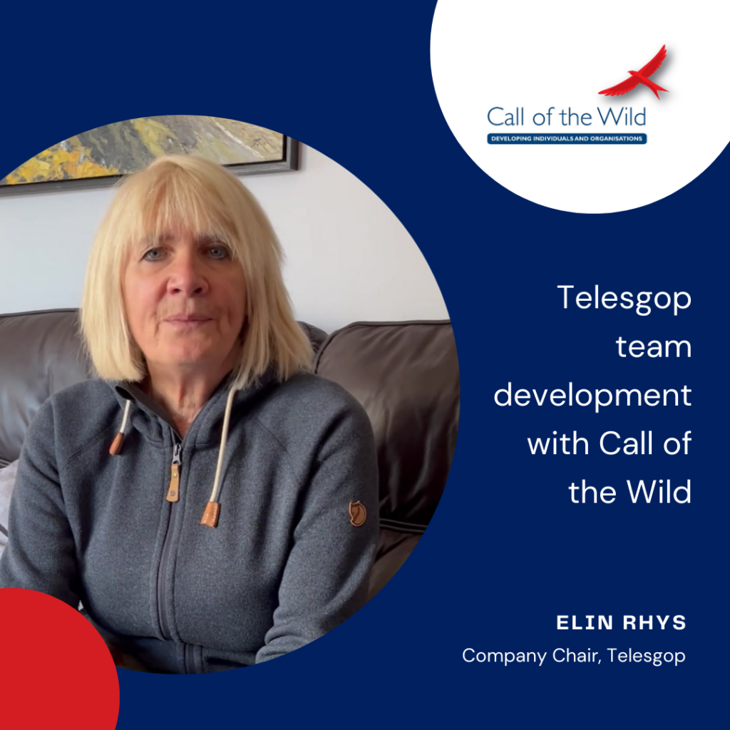 Team building with Telesgop - Call of the Wild